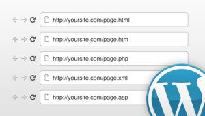 Page Extension WordPress Plugin | Daddy Design