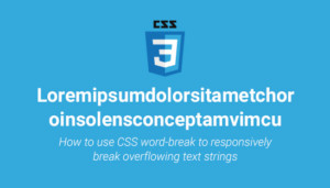 CSS word-break to Responsively Break Overflowing Text strings | Daddy ...